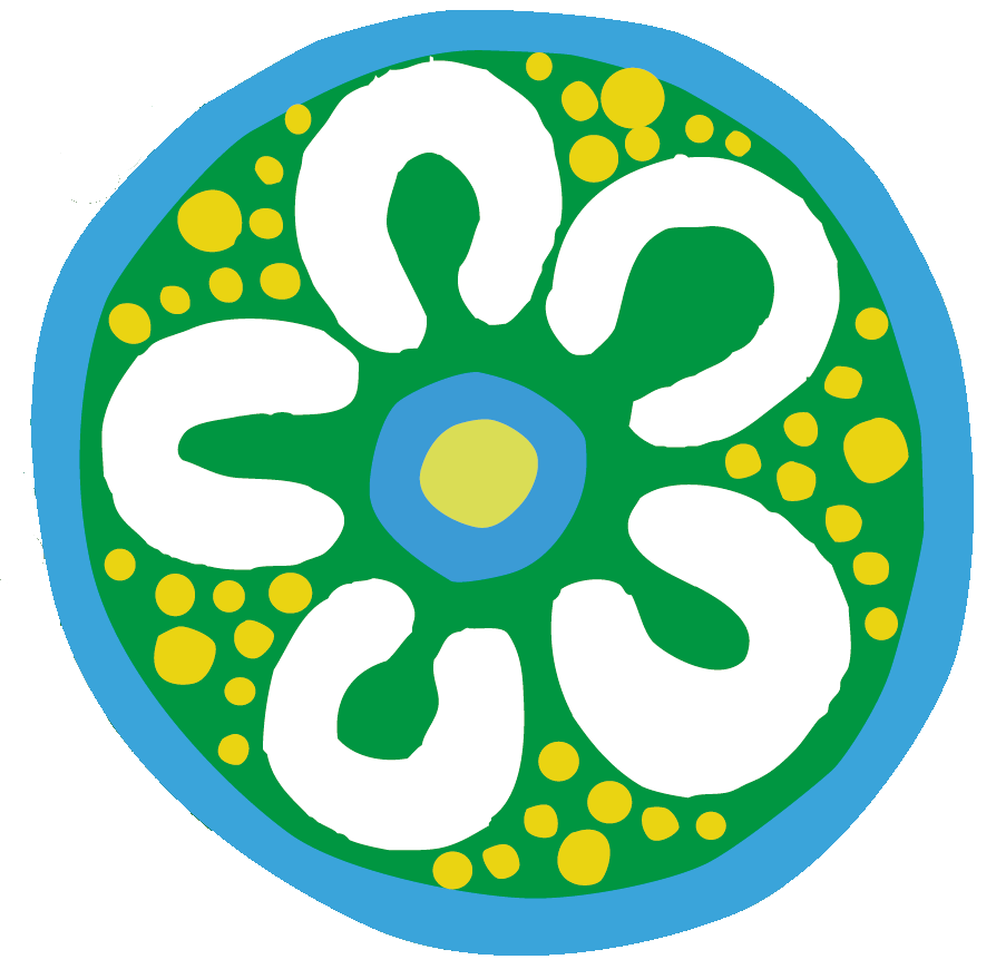 Explore other resources | Media